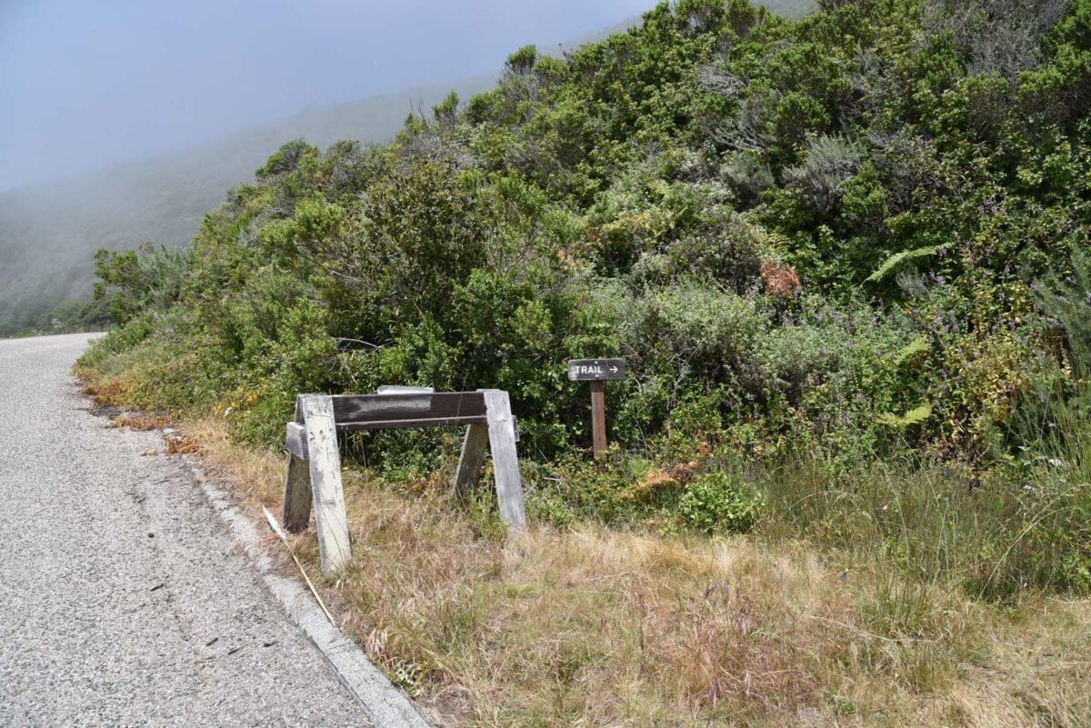 Brazil Ranch (Big Sur) - Hike Monterey