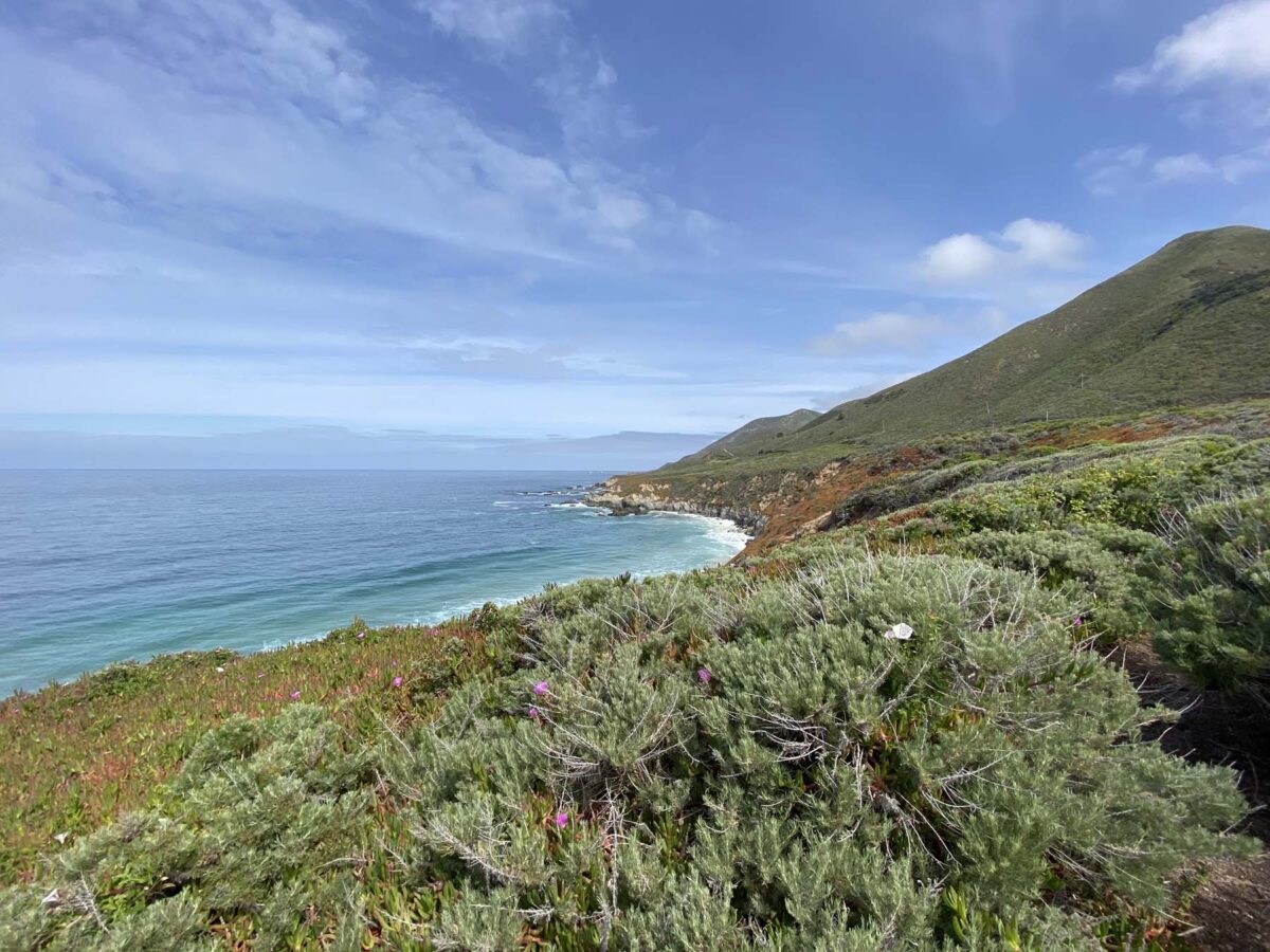 Garrapata Bluff Trail (Big Sur) - Hike Monterey