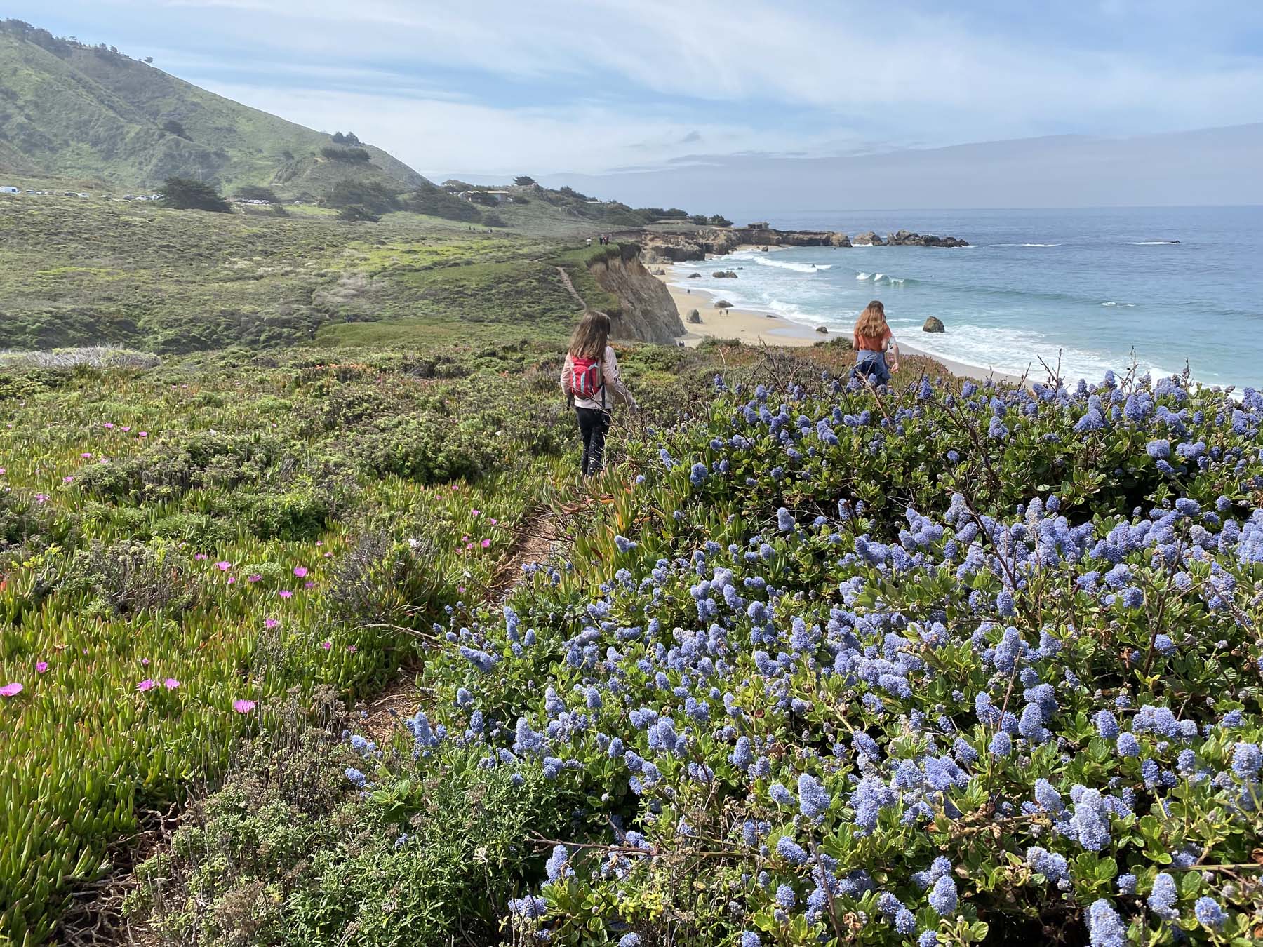 Garrapata Bluff Trail (Big Sur) - Hike Monterey