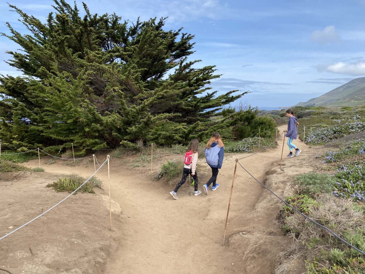 Garrapata Bluff Trail (Big Sur) - Hike Monterey