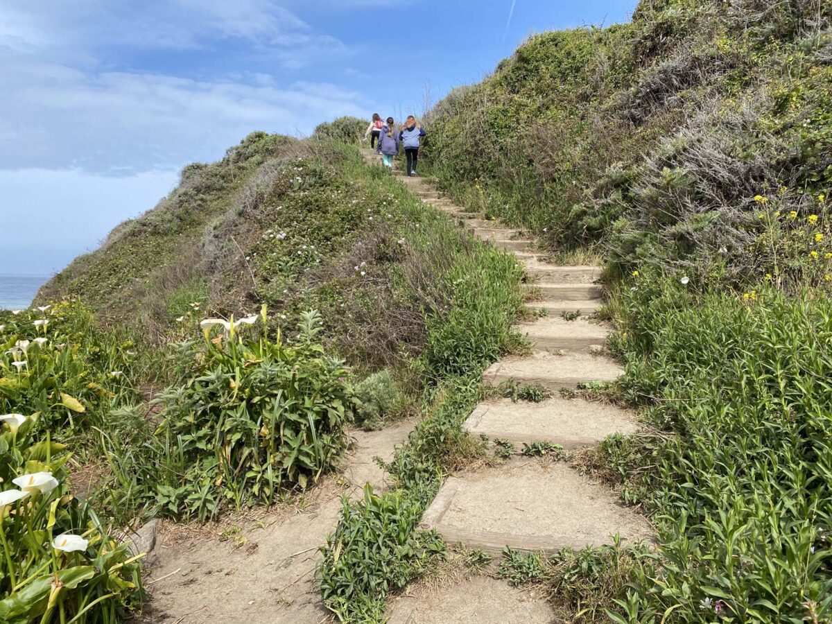 Garrapata Bluff Trail (Big Sur) - Hike Monterey