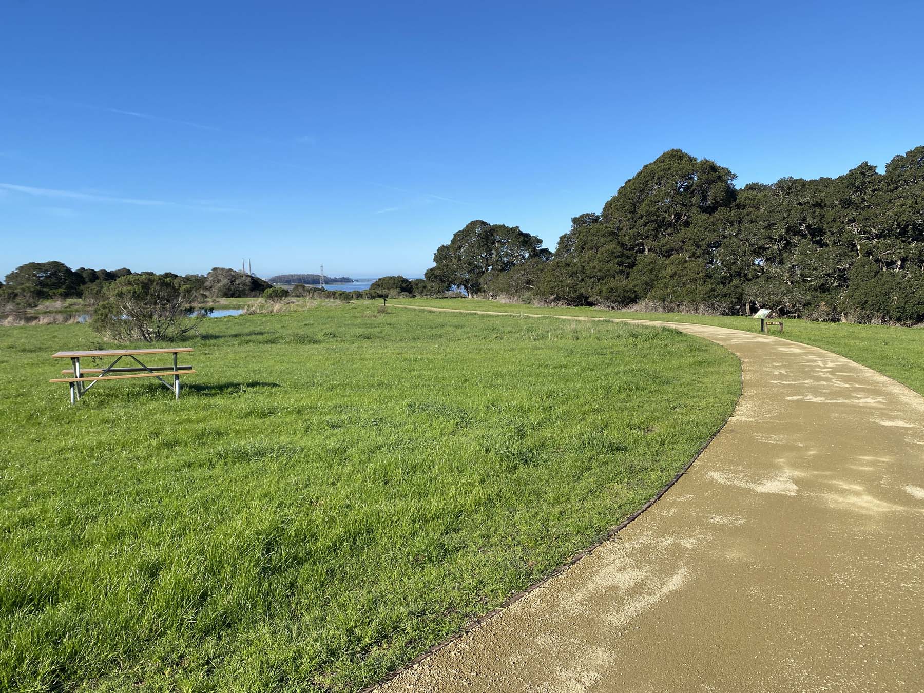 South Marsh Loop (Elkhorn Slough) - Hike Monterey