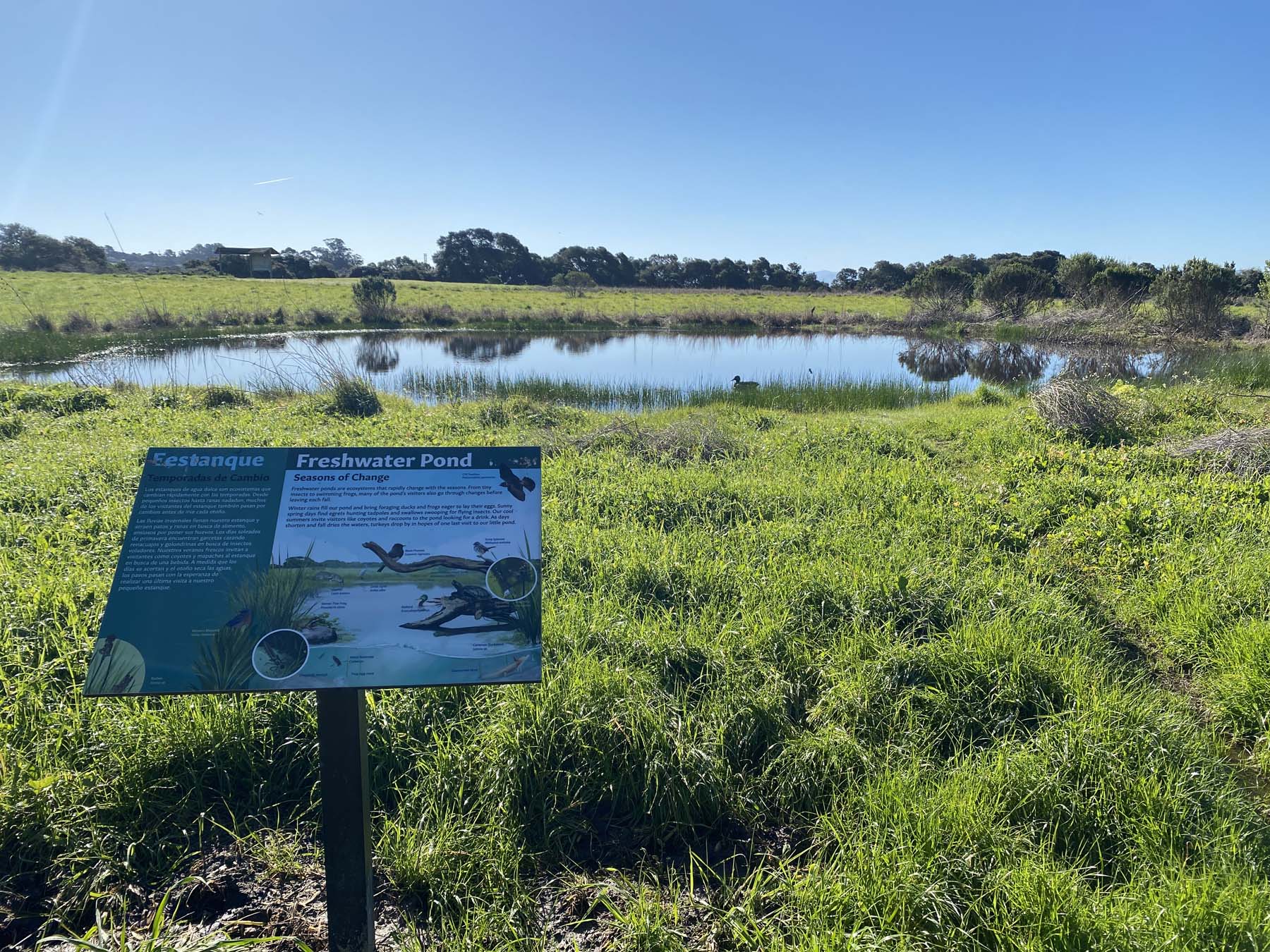 South Marsh Loop (Elkhorn Slough) - Hike Monterey