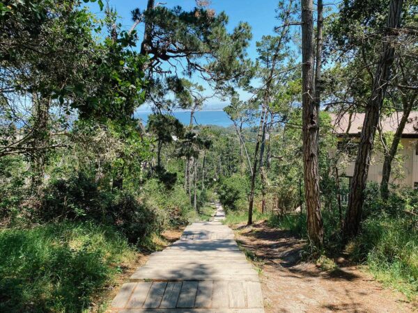 Huckleberry Hill at Veteran's Park (Monterey) - Hike Monterey
