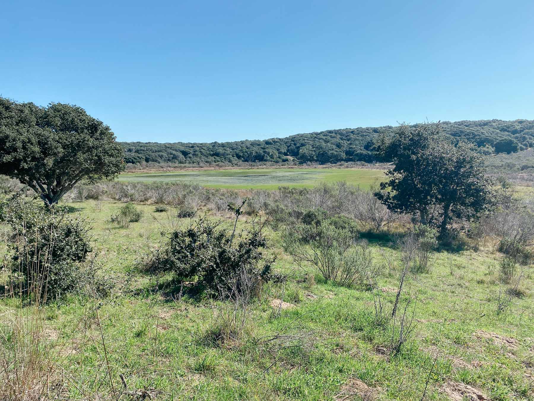 Jerry Smith Access Corridor (Fort Ord) - Hike Monterey