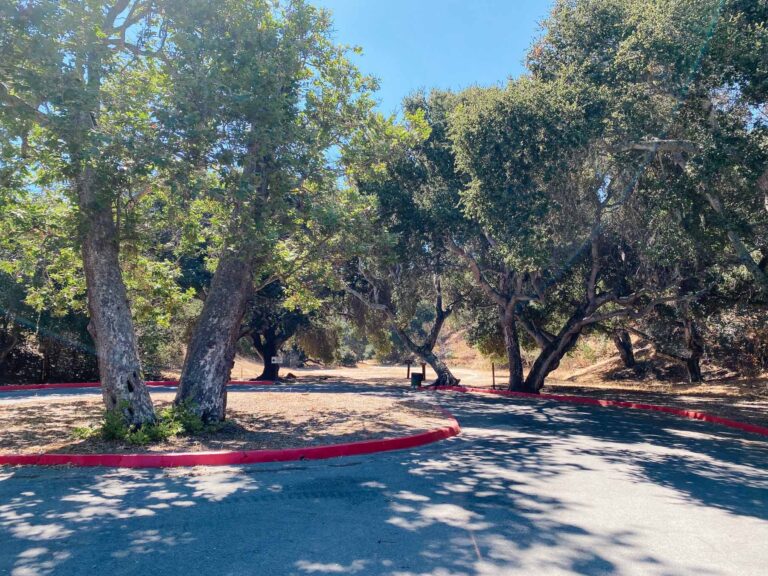Toyon Ridge (Toro County Park) - Hike Monterey